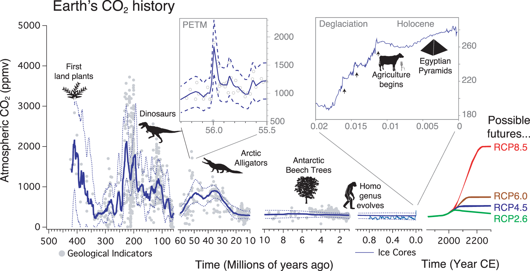 Carbon cycle dynamics during episodes of rapid climate change - IOPscience