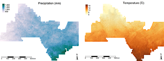 A comprehensive uncertainty quantification of large-scale process-based crop modeling frameworks ...