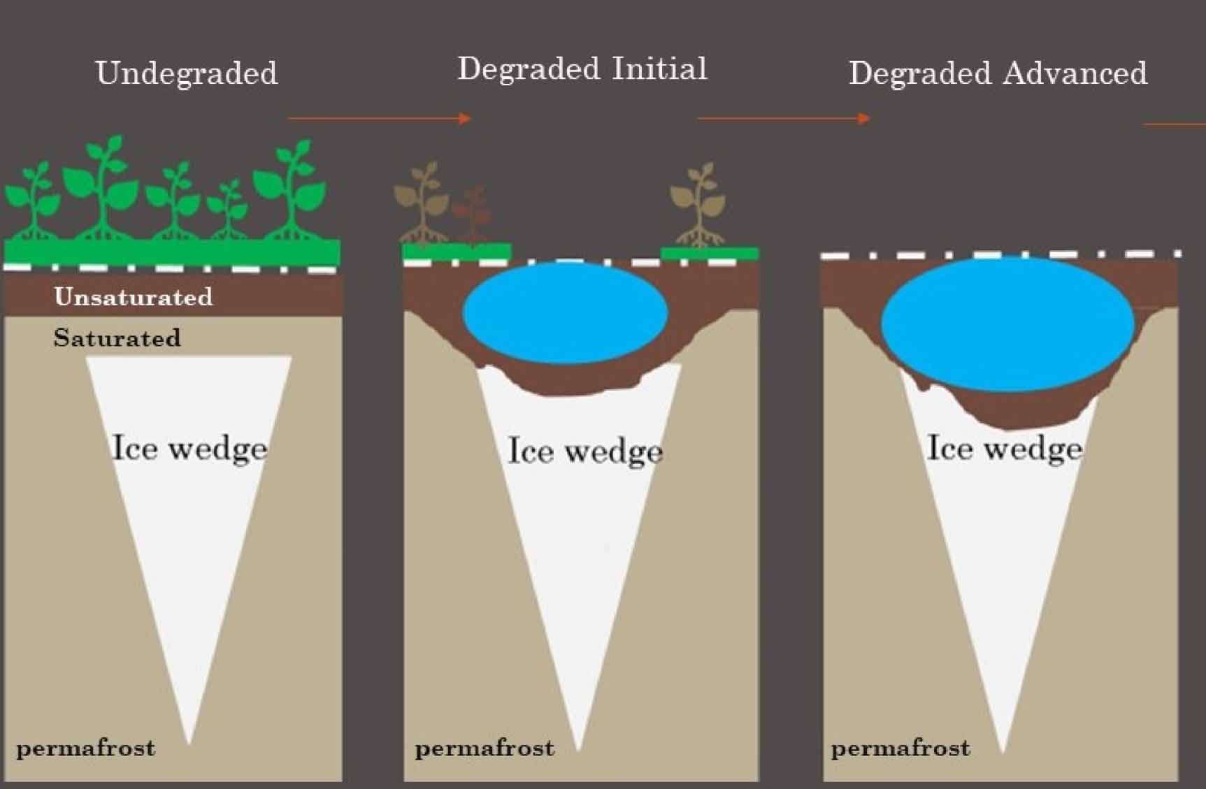 Disturbances in North American boreal forest and Arctic tundra: impacts ...
