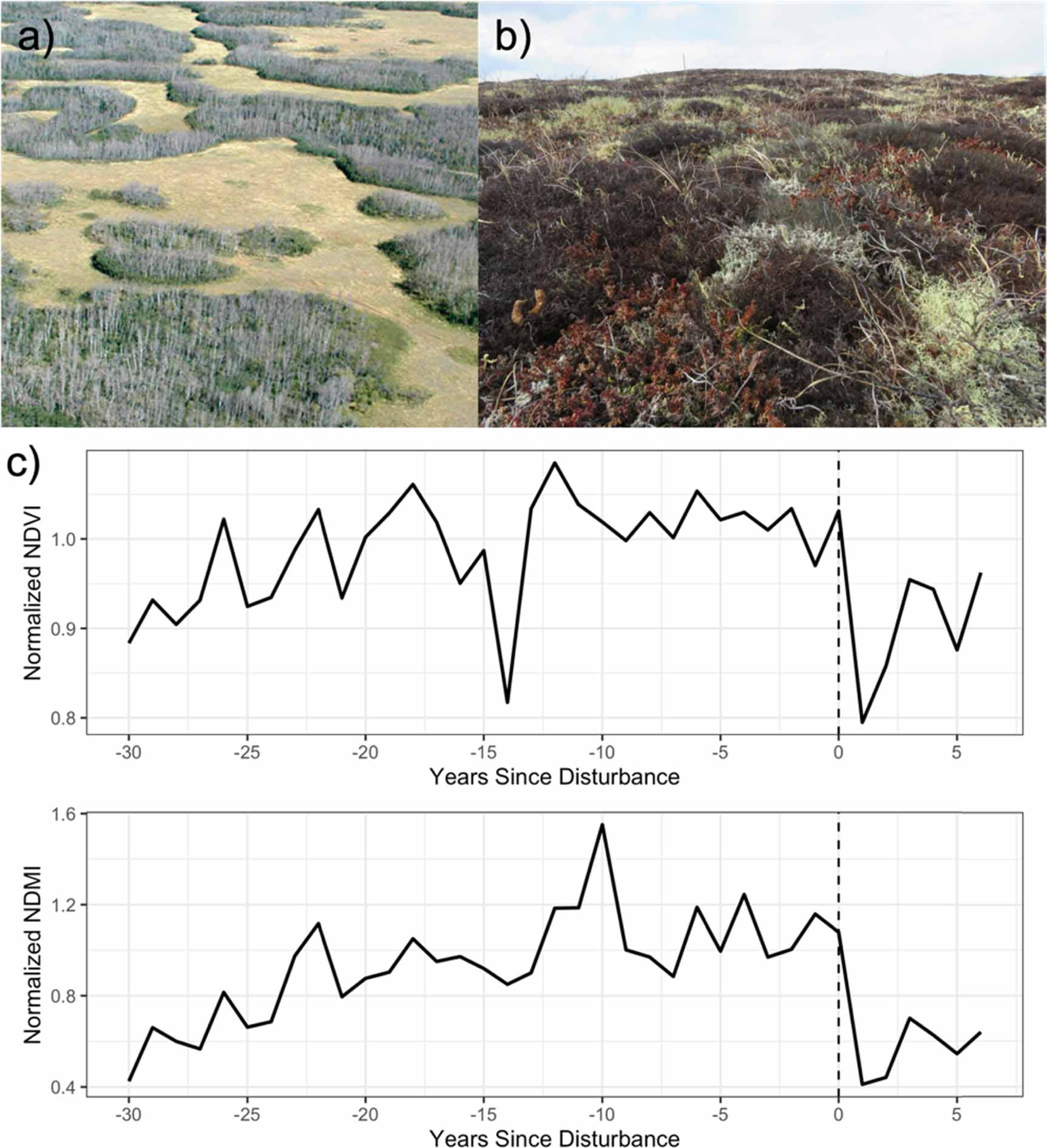 Disturbances in North American boreal forest and Arctic tundra: impacts ...