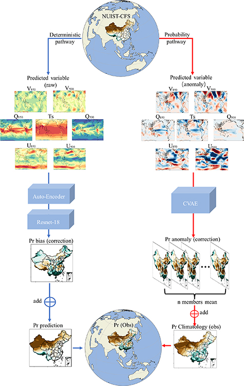 Two deep learning-based bias-correction pathways improve summer ...