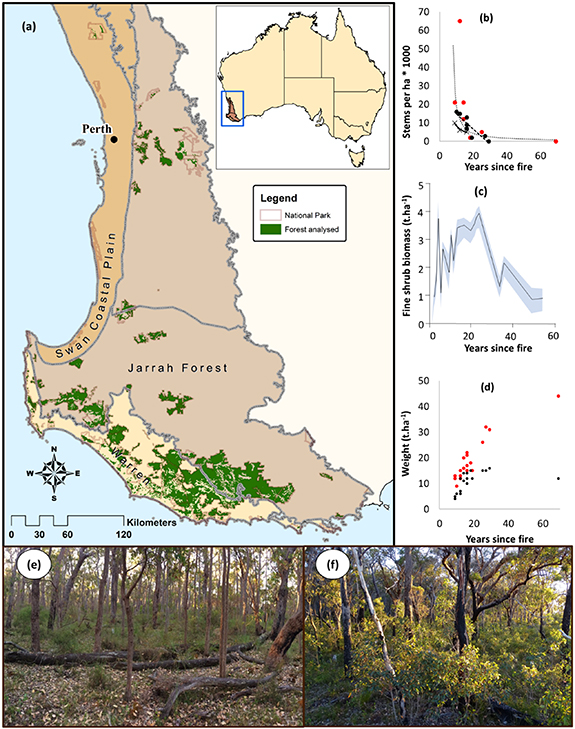 Self-thinning forest understoreys reduce wildfire risk, even in a ...