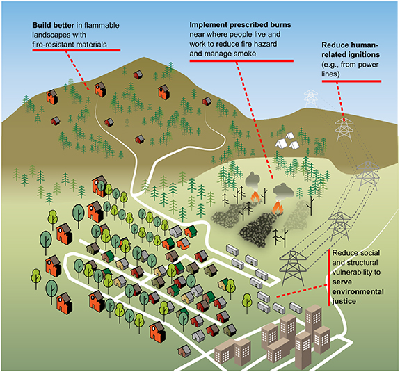 Fires that matter: reconceptualizing fire risk to include interactions ...