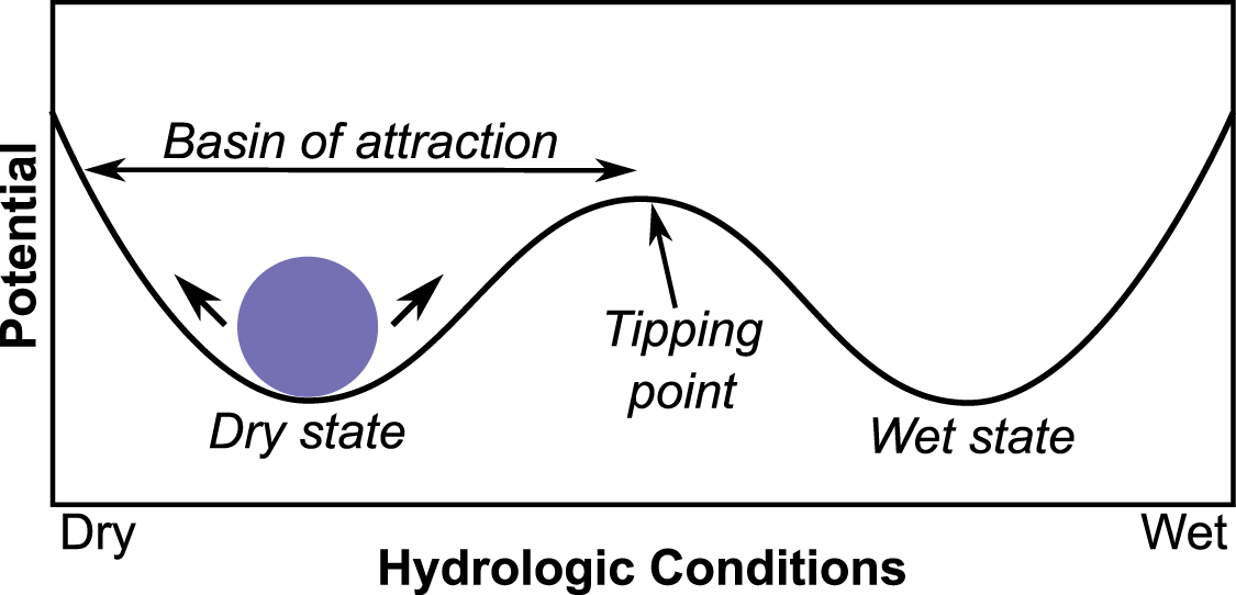 Alternative stable states and hydrological regime shifts in a large ...
