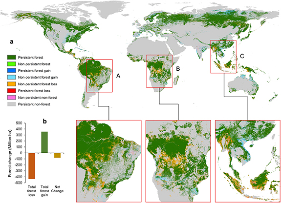 Spatiotemporal pattern of global forest change over the past 60 years ...
