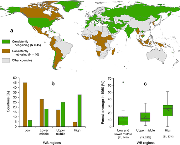 Spatiotemporal pattern of global forest change over the past 60 years ...