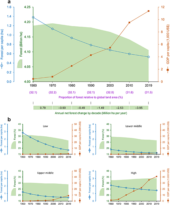 Spatiotemporal pattern of global forest change over the past 60 years ...