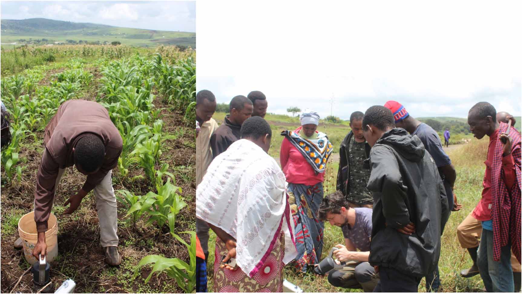 Soils, Science and Community ActioN (SoilSCAN): a citizen science tool ...