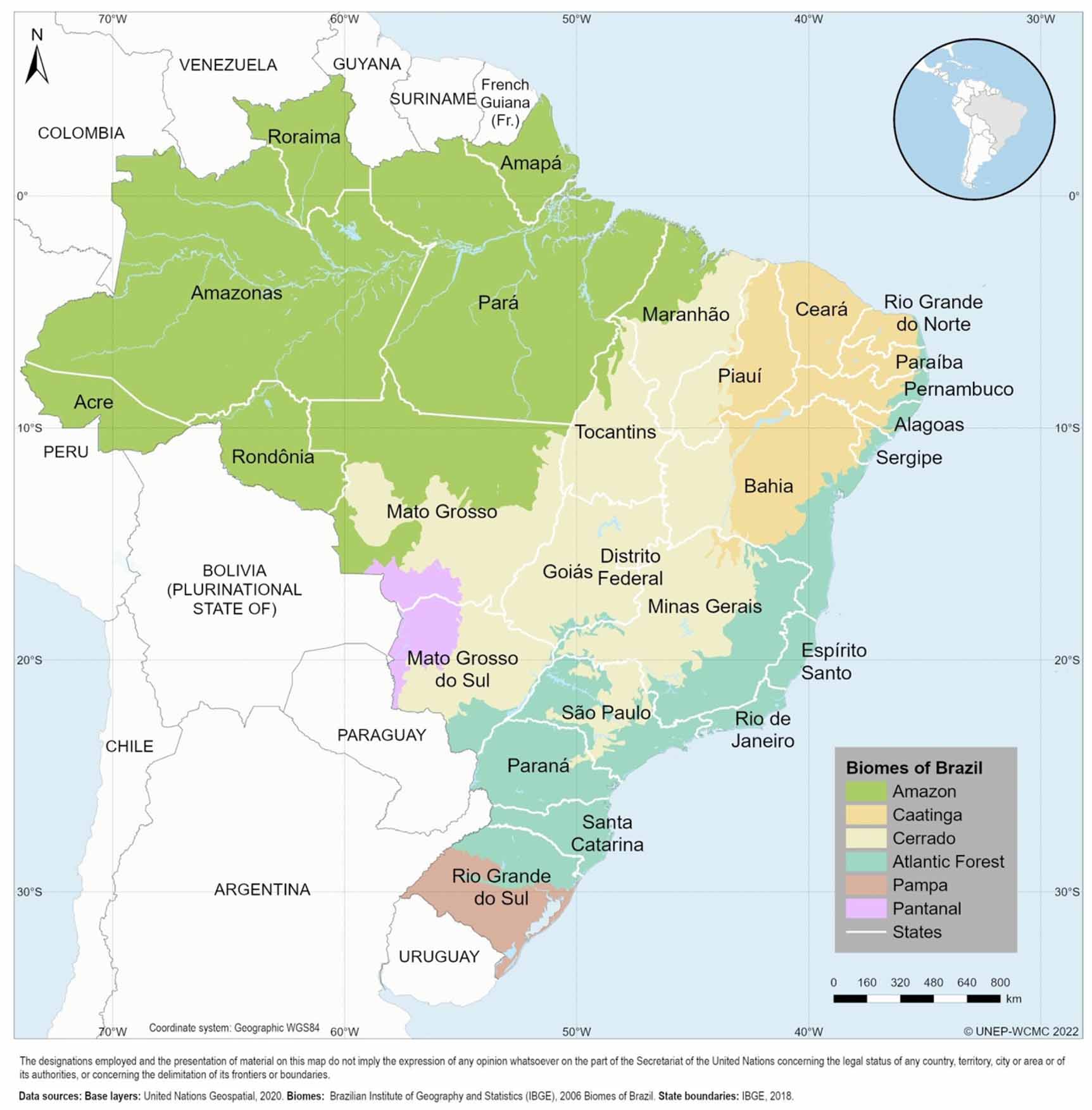 Committed to restoring tropical forests: an overview of Brazil’s and ...