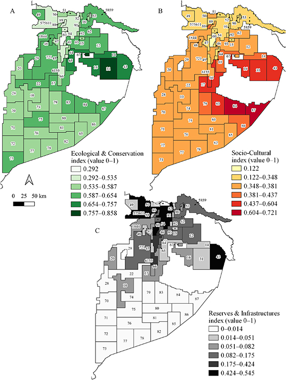 Where to leave fossil fuels underground? A multi-criteria analysis to ...