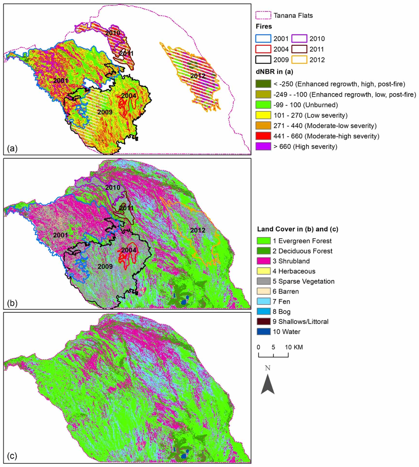 Linking repeat lidar with Landsat products for large scale ...