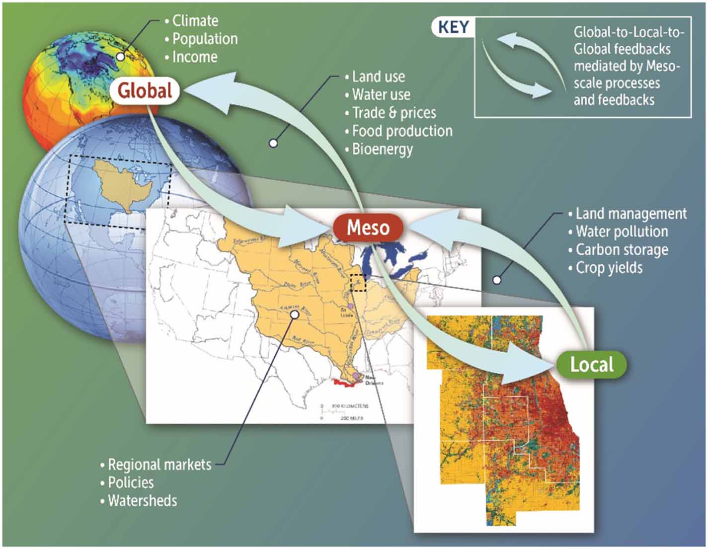 Focus on global–local–global analysis of sustainability - IOPscience