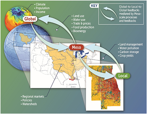 Focus on global–local–global analysis of sustainability - IOPscience
