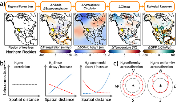 Distance decay and directional diffusion of ecoclimate teleconnections ...