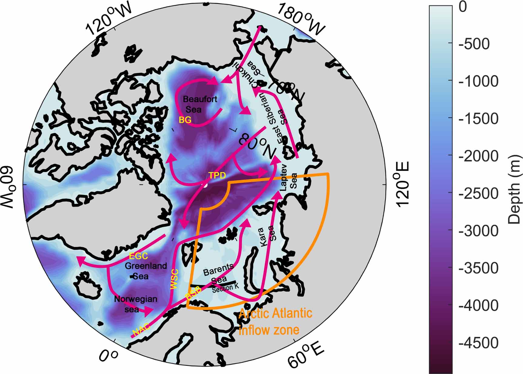 Cold season Arctic strong cyclones enhance Atlantification of the ...