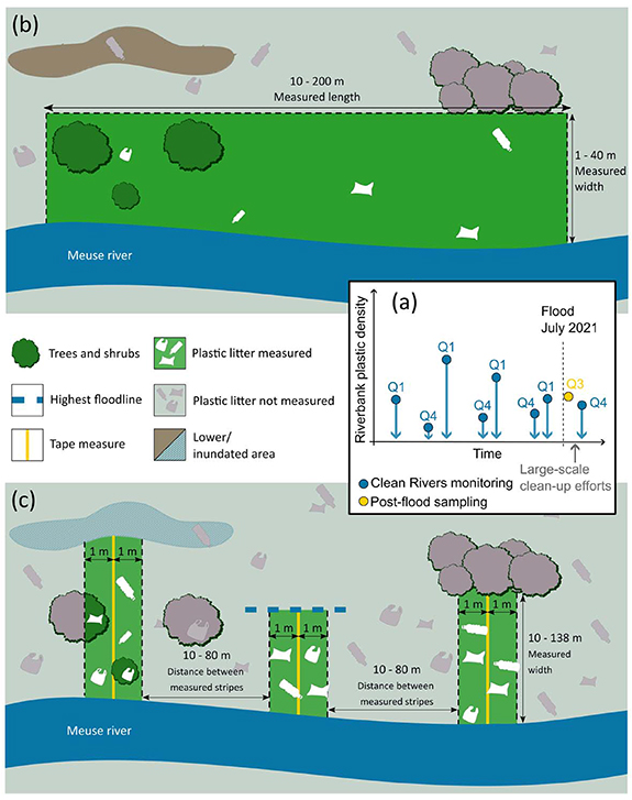 Macroplastic deposition and flushing in the Meuse river following the ...