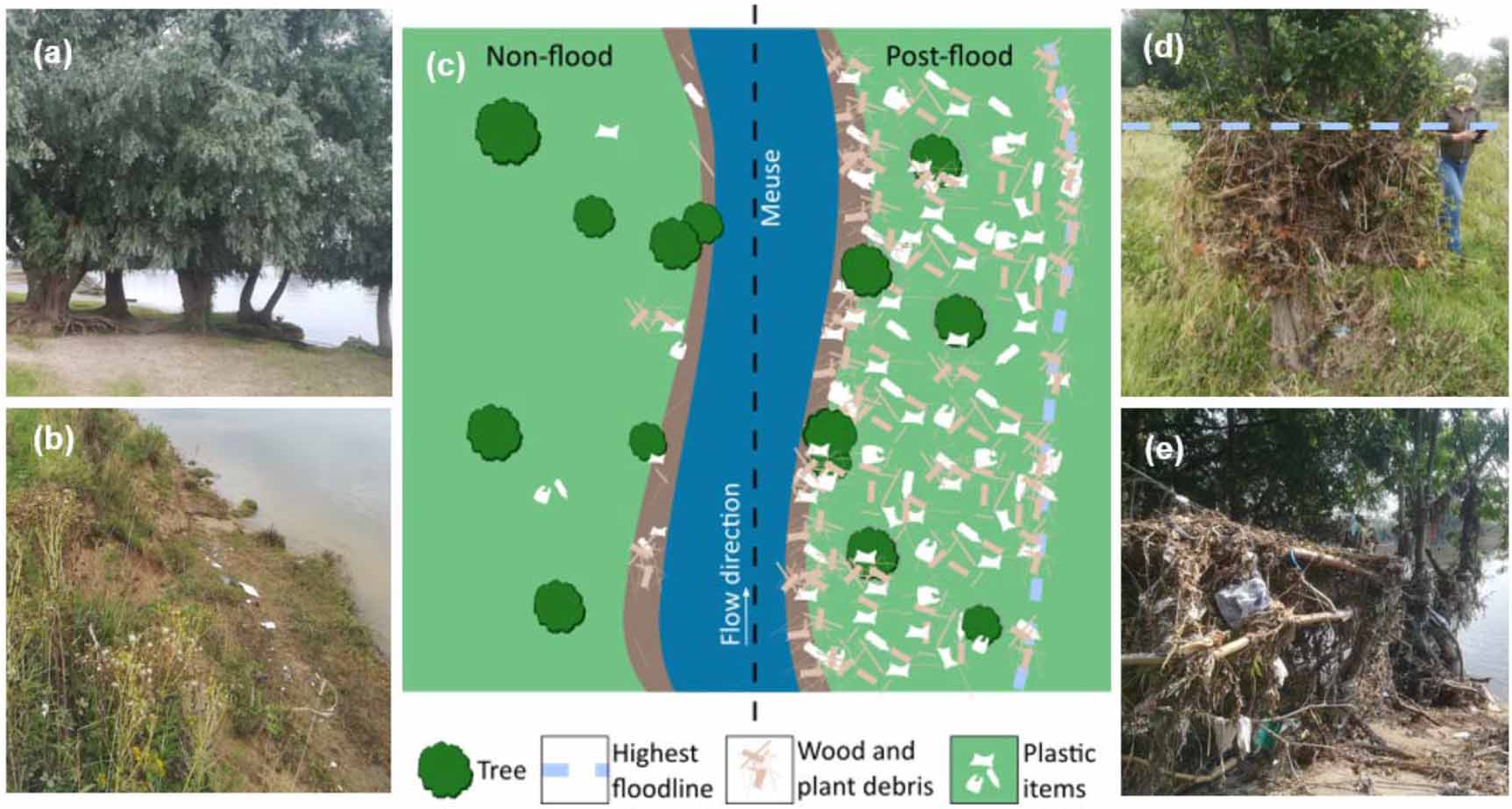 Macroplastic deposition and flushing in the Meuse river following the July 2021 European floods ...