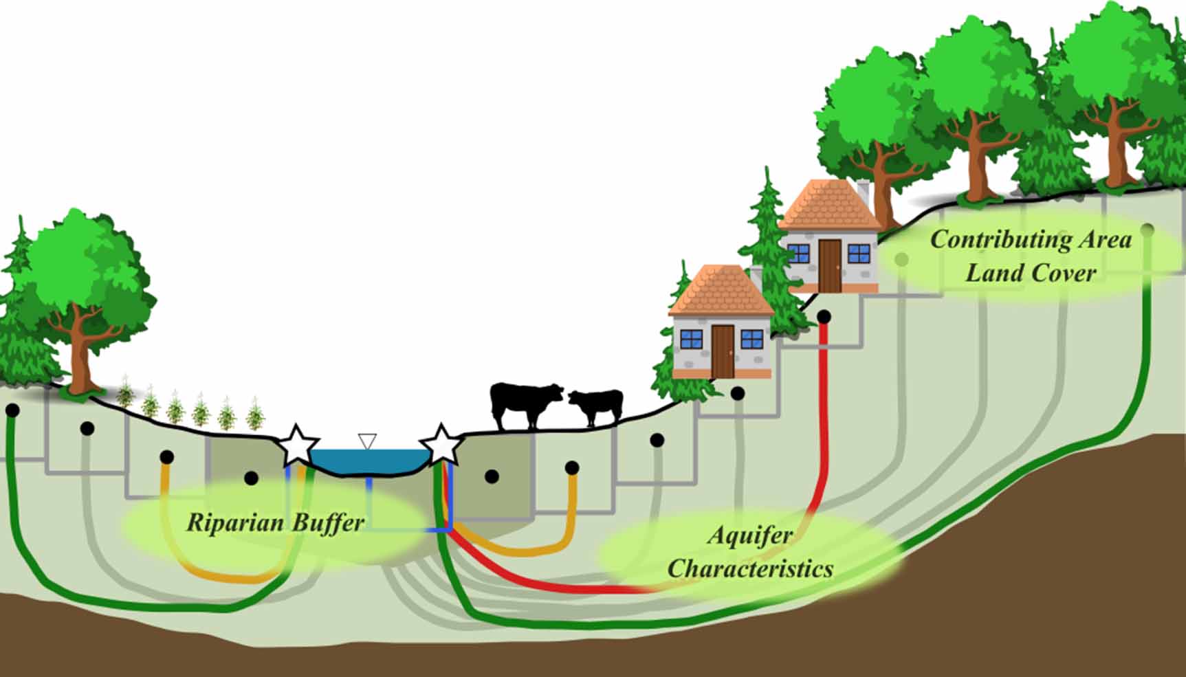 Where the past meets the present: connecting nitrogen from watersheds ...