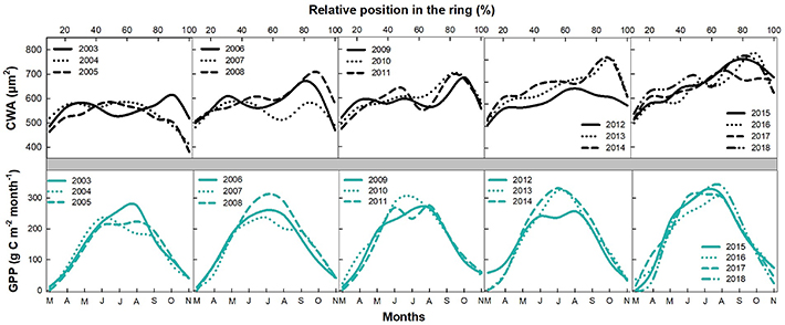 Revealing how intra- and inter-annual variability of carbon uptake (GPP ...
