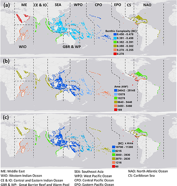 Global analysis of benthic complexity in shallow coral reefs - IOPscience