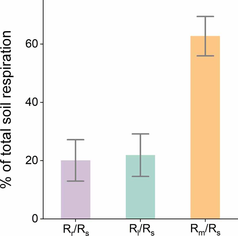 Partitioning of root, litter and microbial respiration by plant input ...