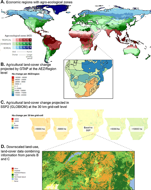 The meso scale as a frontier in interdisciplinary modeling of ...