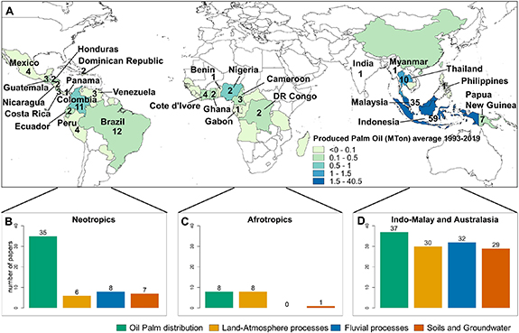 Ecohydrological impacts of oil palm expansion: a systematic review ...