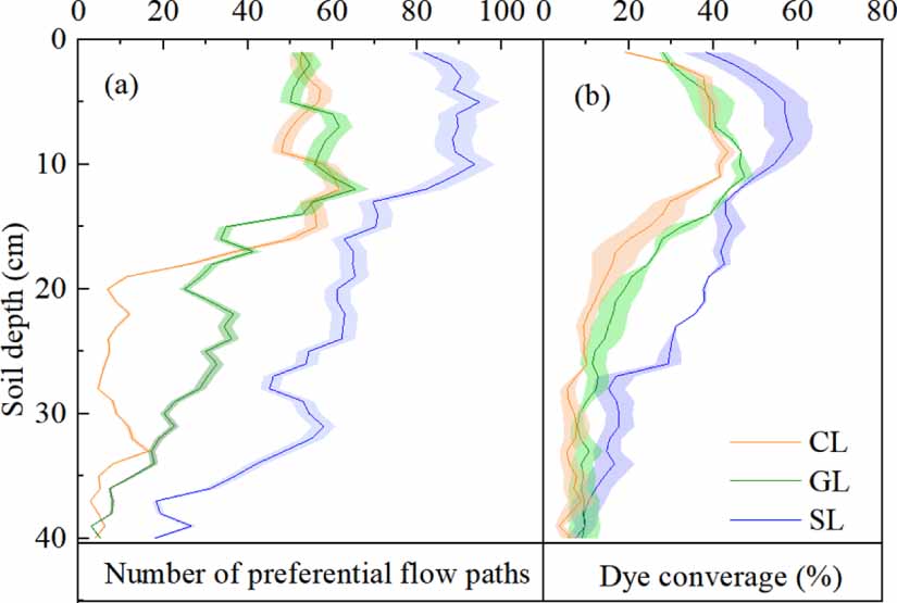 Effects of preferential flow on soil nutrient transport in karst slopes ...