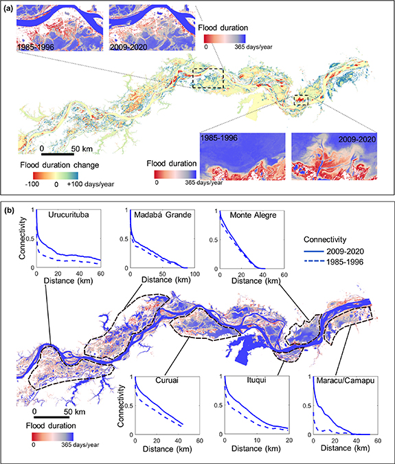 Increased floodplain inundation in the Amazon since 1980 - IOPscience
