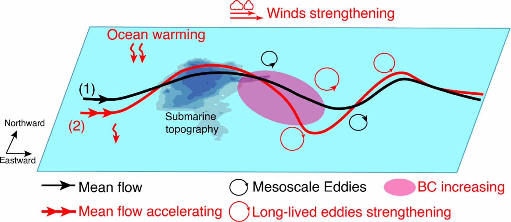 Contrasting trends in short-lived and long-lived mesoscale eddies in ...