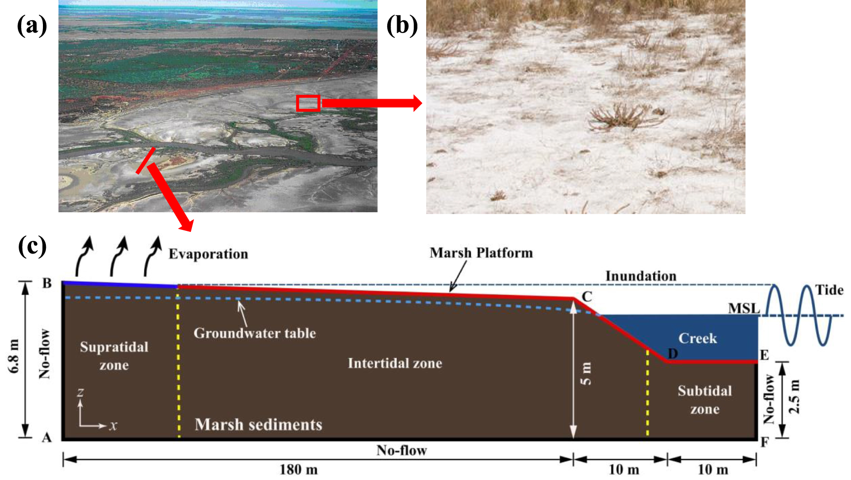 Characterization of hypersaline zones in salt marshes - IOPscience