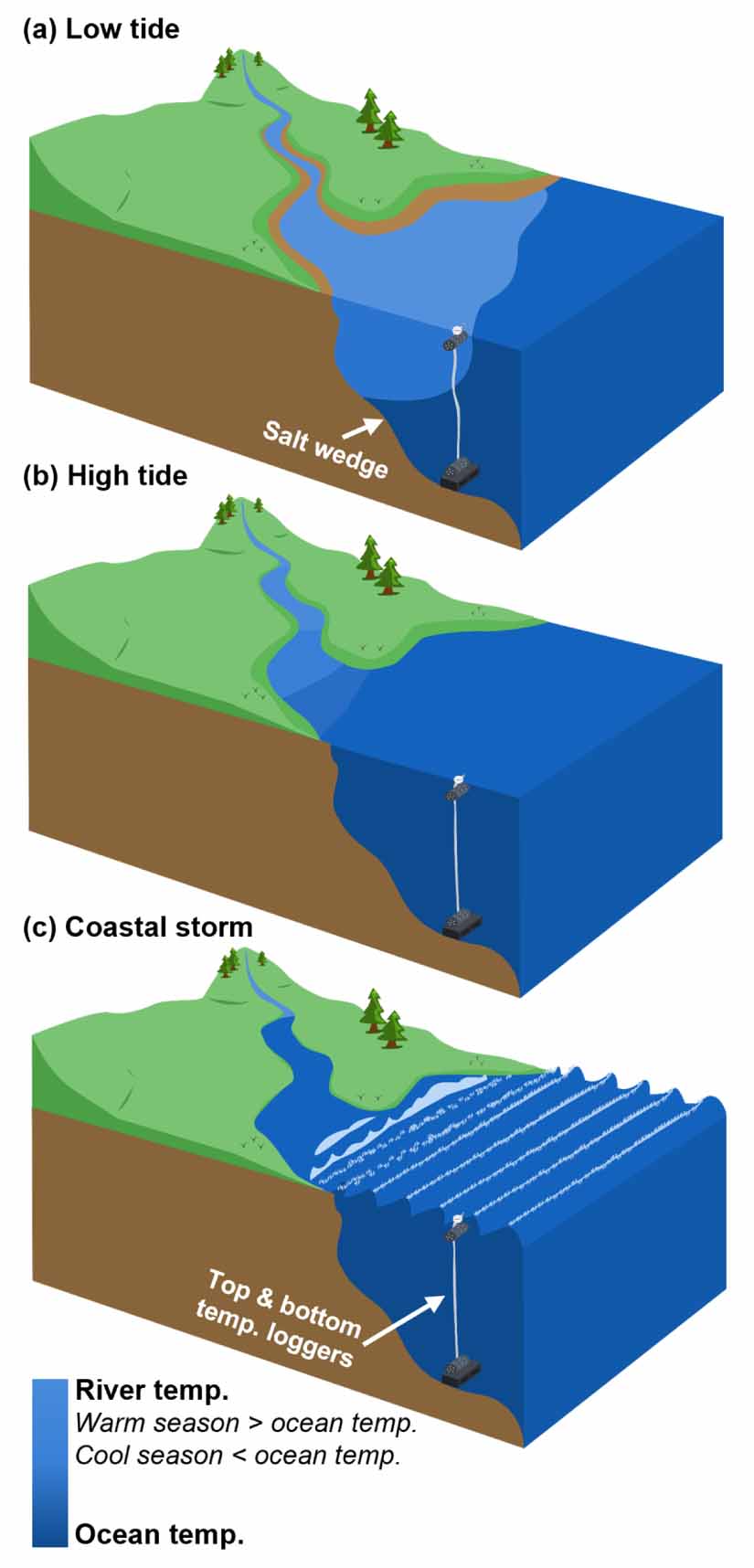 Stuck in the middle: thermal regimes of coastal lagoons and estuaries ...