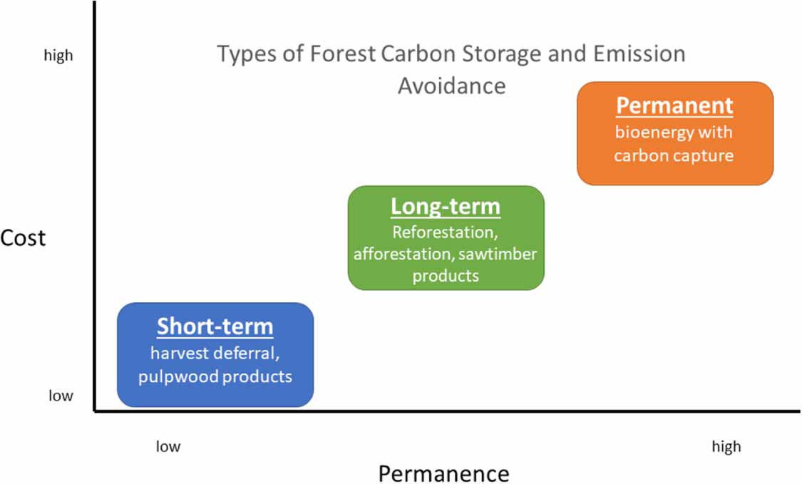Guidelines for effective climate smart forestry - IOPscience