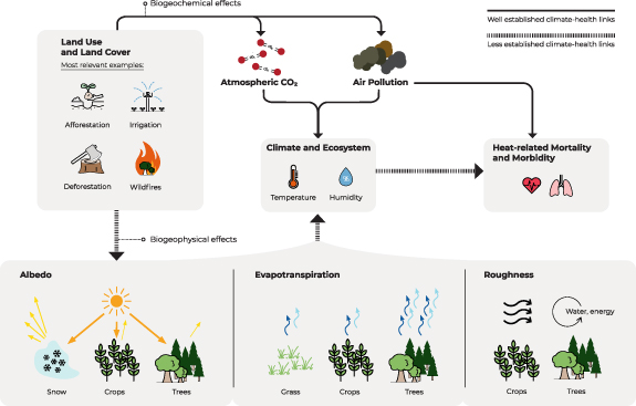 Neglected implications of land-use and land-cover changes on the ...