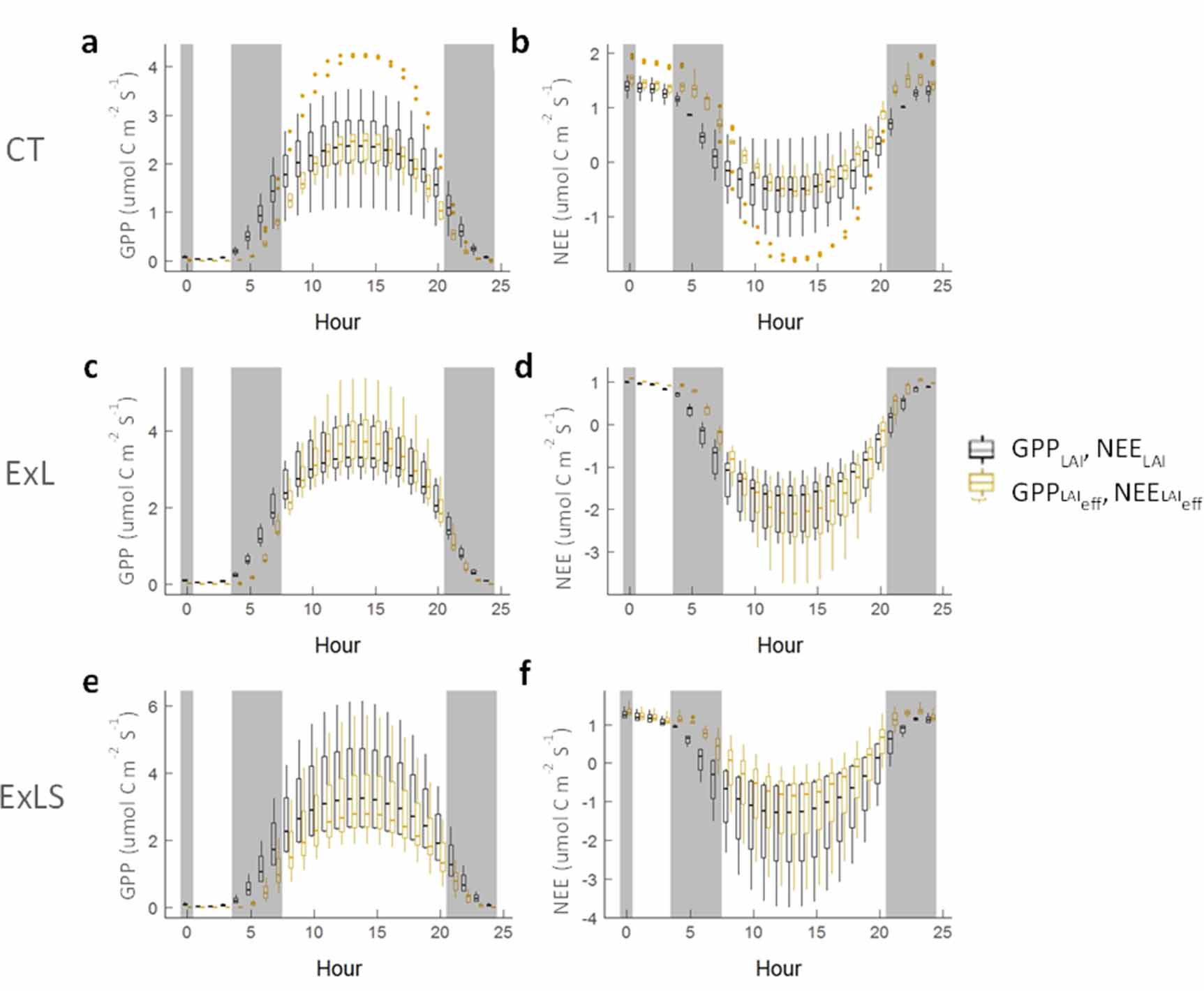 Using structure to model function: incorporating canopy structure ...