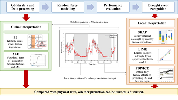 Towards interpreting machine learning models for predicting soil ...