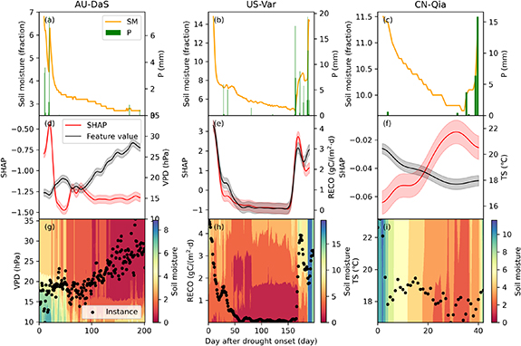 Towards interpreting machine learning models for predicting soil moisture droughts - IOPscience