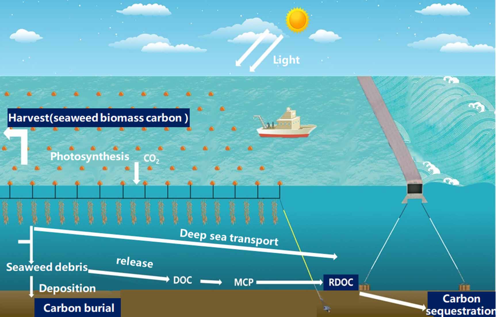 Carbon sequestration assessment and analysis in the whole life cycle of ...