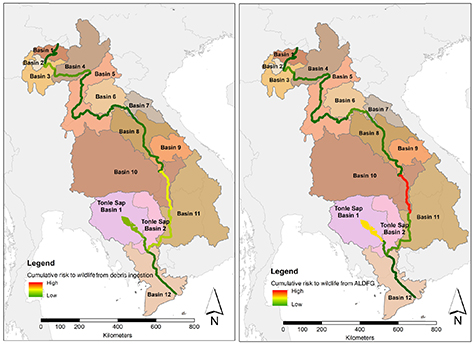 Modelling the relative risk of plastic pollution to wildlife when data ...