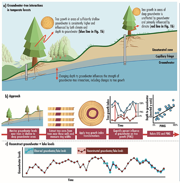 Reconstructing groundwater and lake level histories in Northern ...