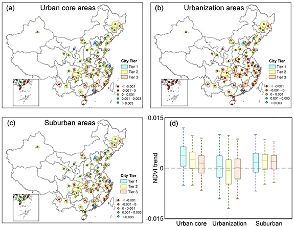 Unveiling the driver behind China’s greening trend: urban vs. rural ...