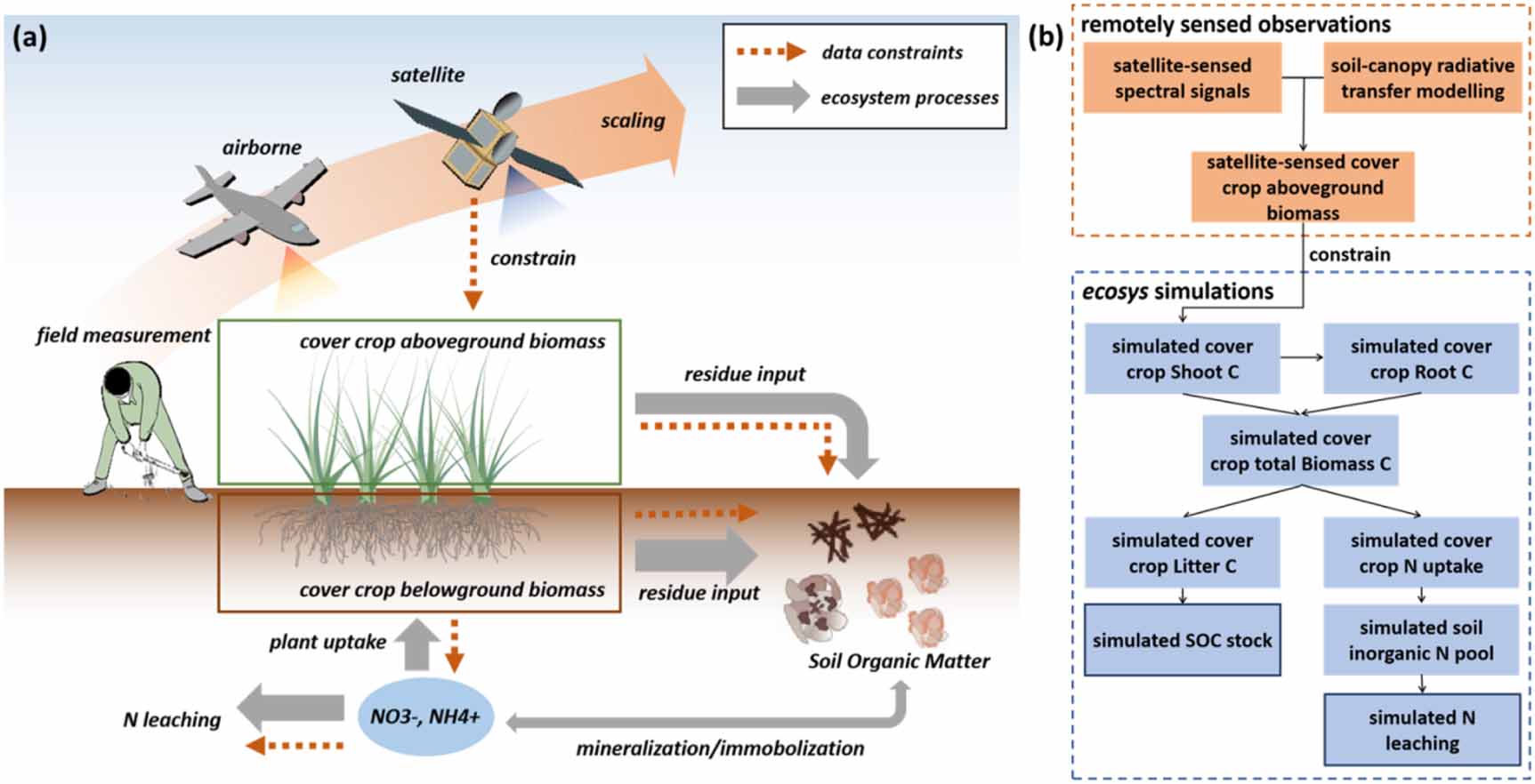 Improved quantification of cover crop biomass and ecosystem services ...