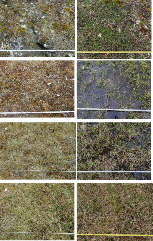 20 years of change in tundra NDVI from coupled field and satellite ...