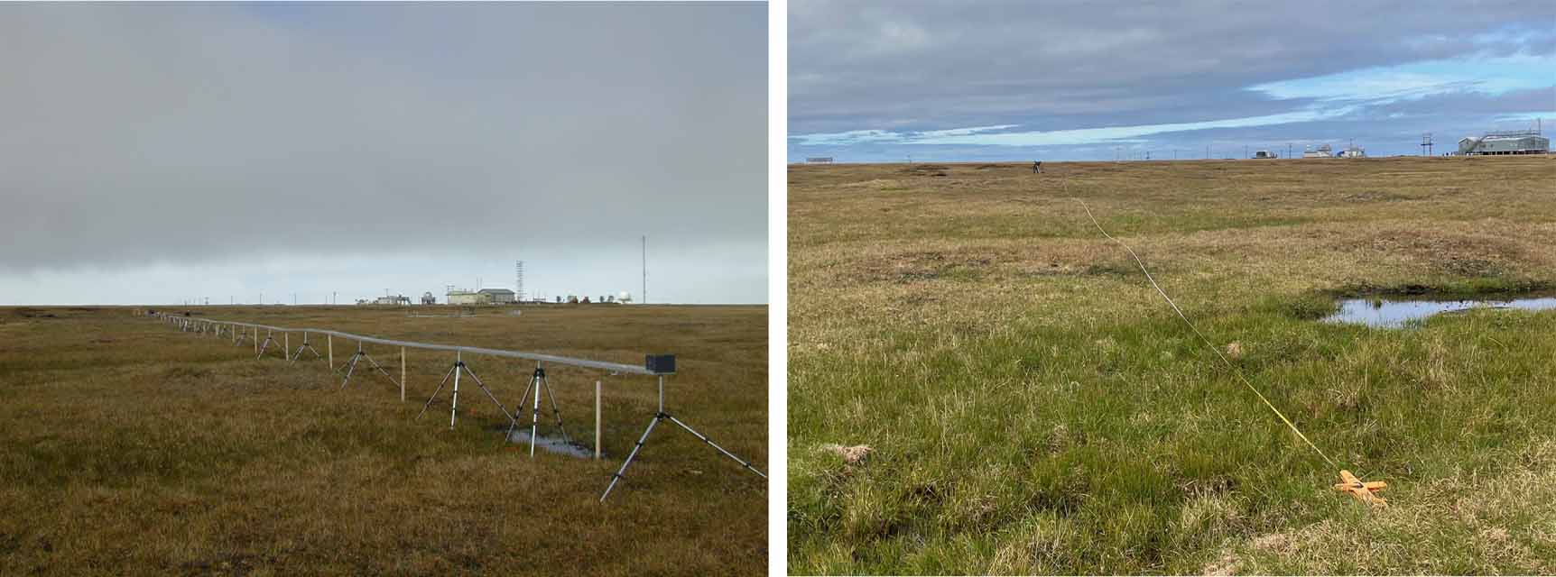 20 years of change in tundra NDVI from coupled field and satellite ...
