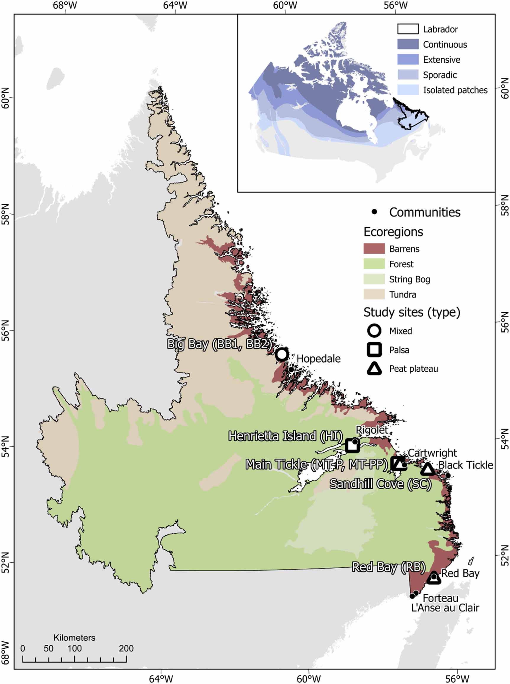 Multi-decadal degradation and fragmentation of palsas and peat plateaus ...