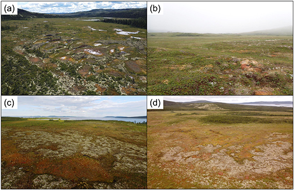 Multi-decadal degradation and fragmentation of palsas and peat plateaus ...