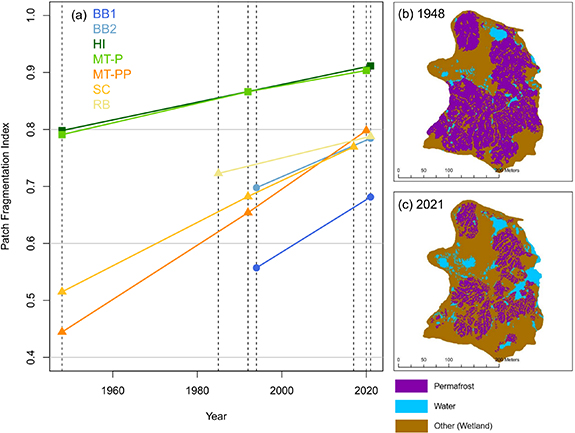 Multi-decadal degradation and fragmentation of palsas and peat plateaus ...