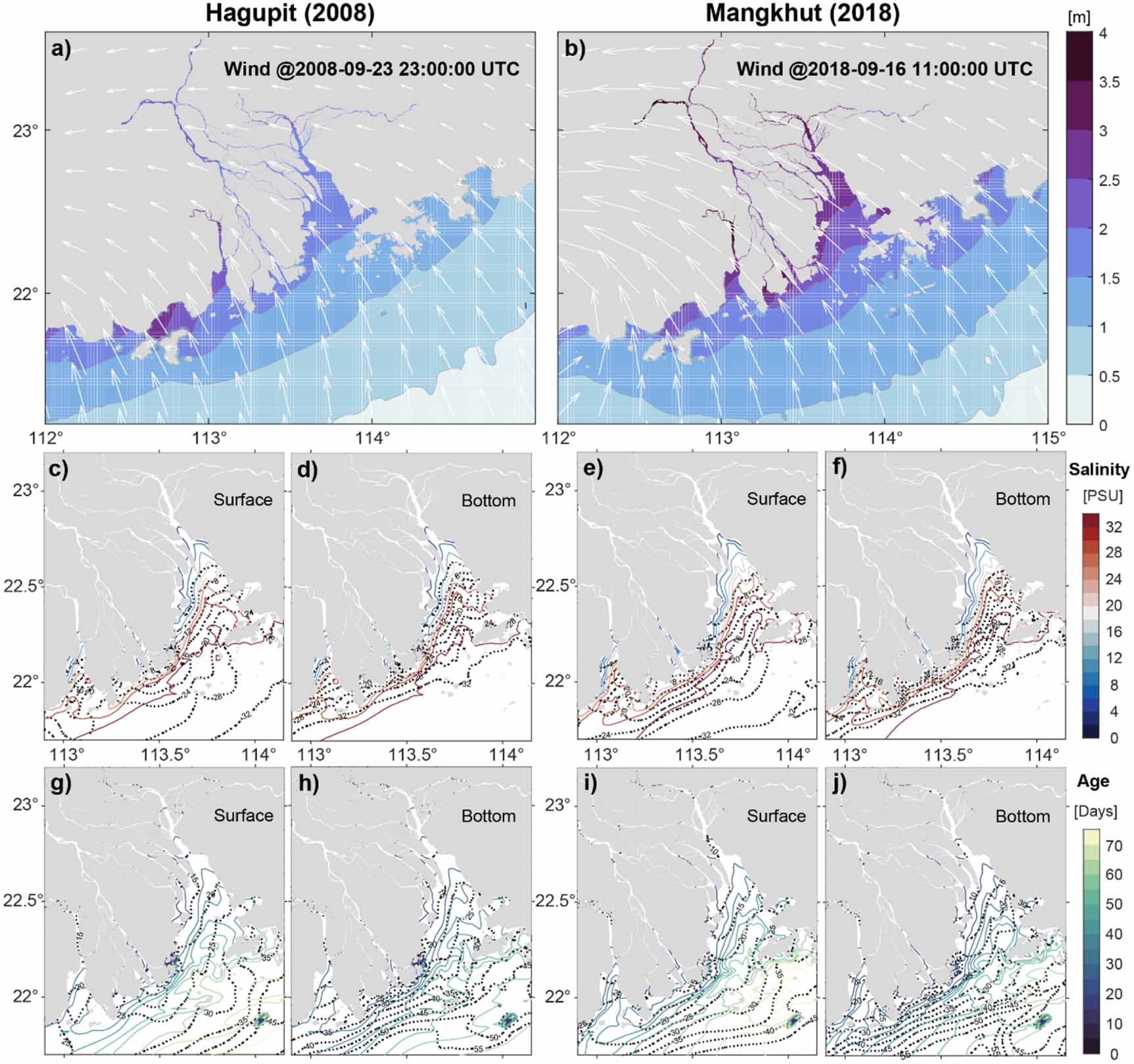 Storm-induced saltwater intrusion responds divergently to sea level ...