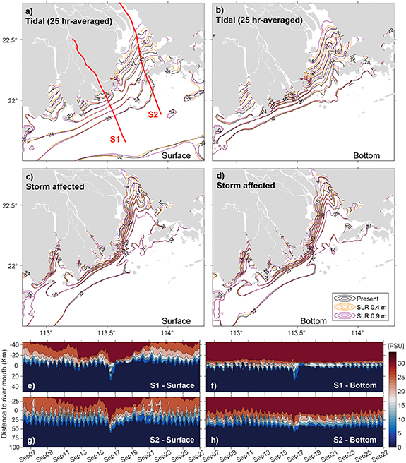 Storm-induced saltwater intrusion responds divergently to sea level ...