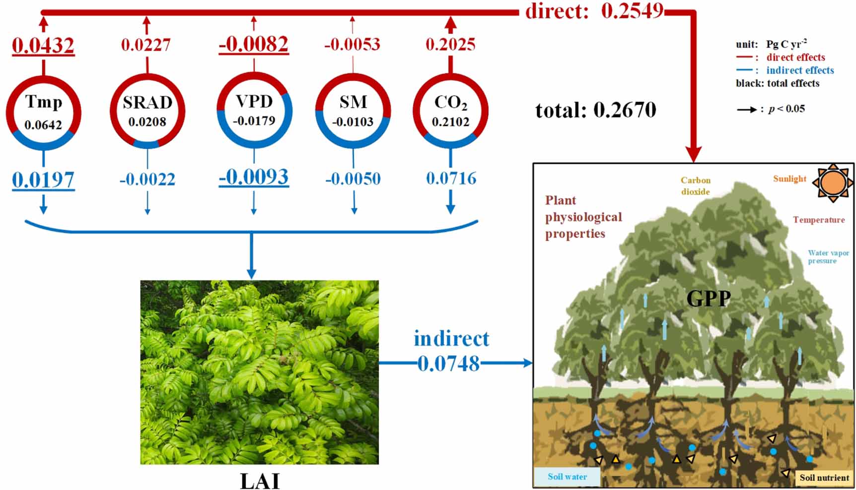 The direct and indirect effects of the environmental factors on global ...
